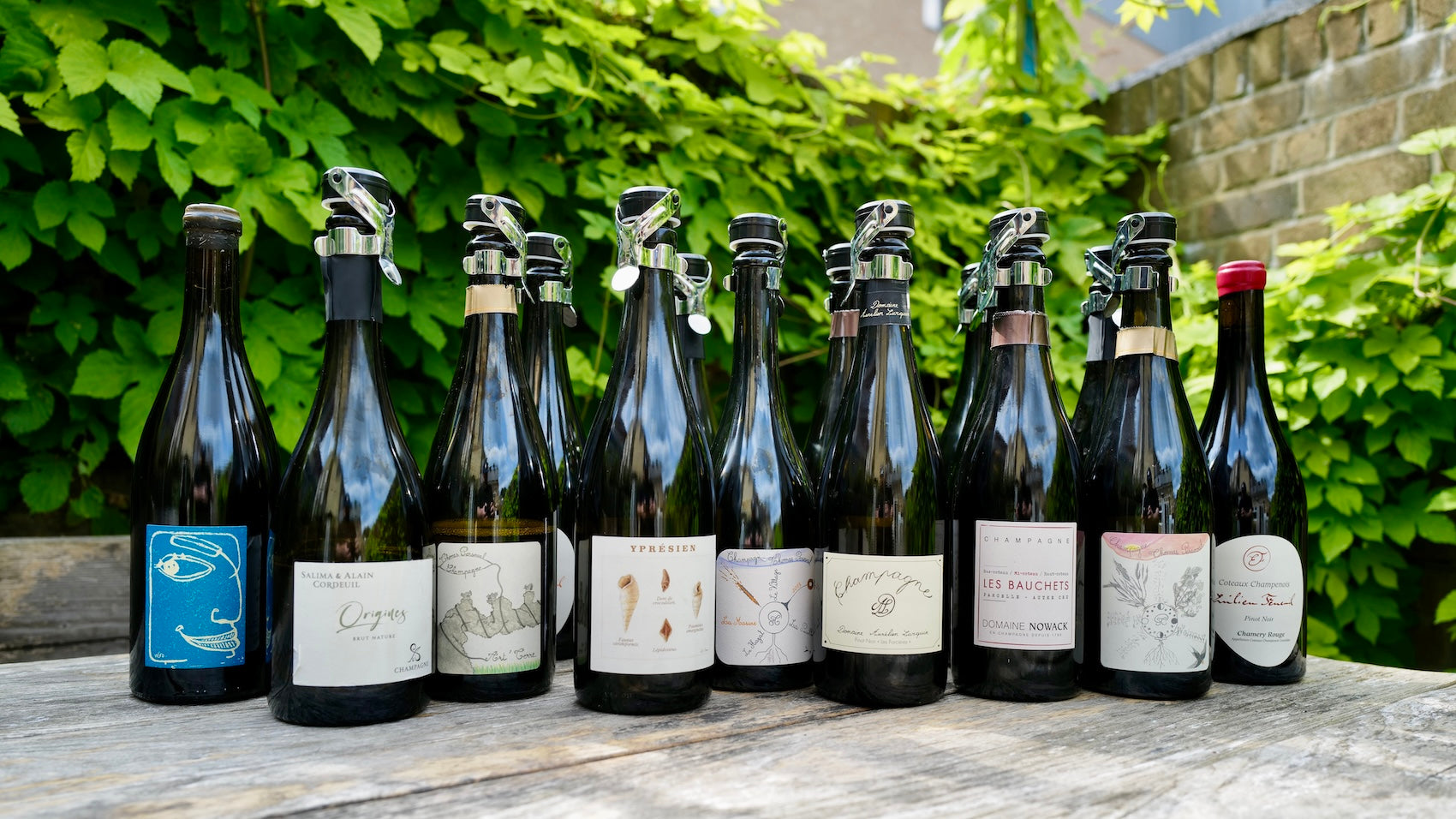 Champagne Renegades: A Recap of our Grower Champagne Tasting at Harrod ...