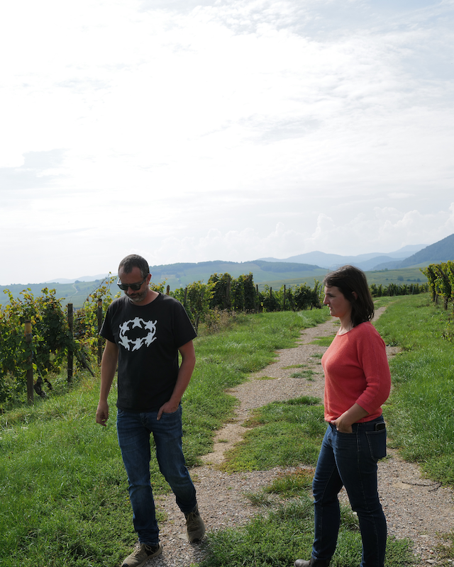 Hunter|McKirdy – Newcomer Wines