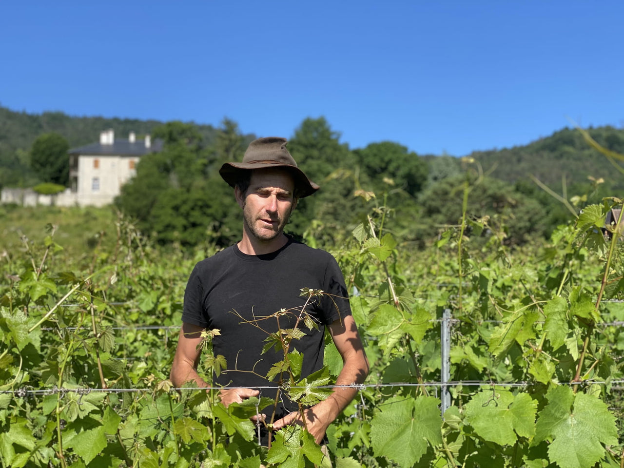 Mathieu & Camille Apffel – Newcomer Wines