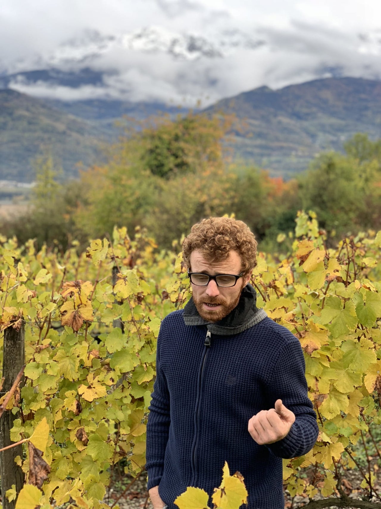 Thomas Finot – Newcomer Wines