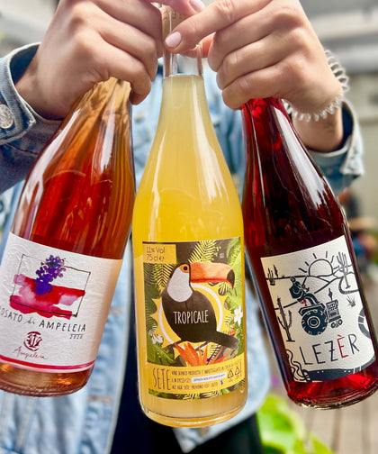 Newcomer Wines