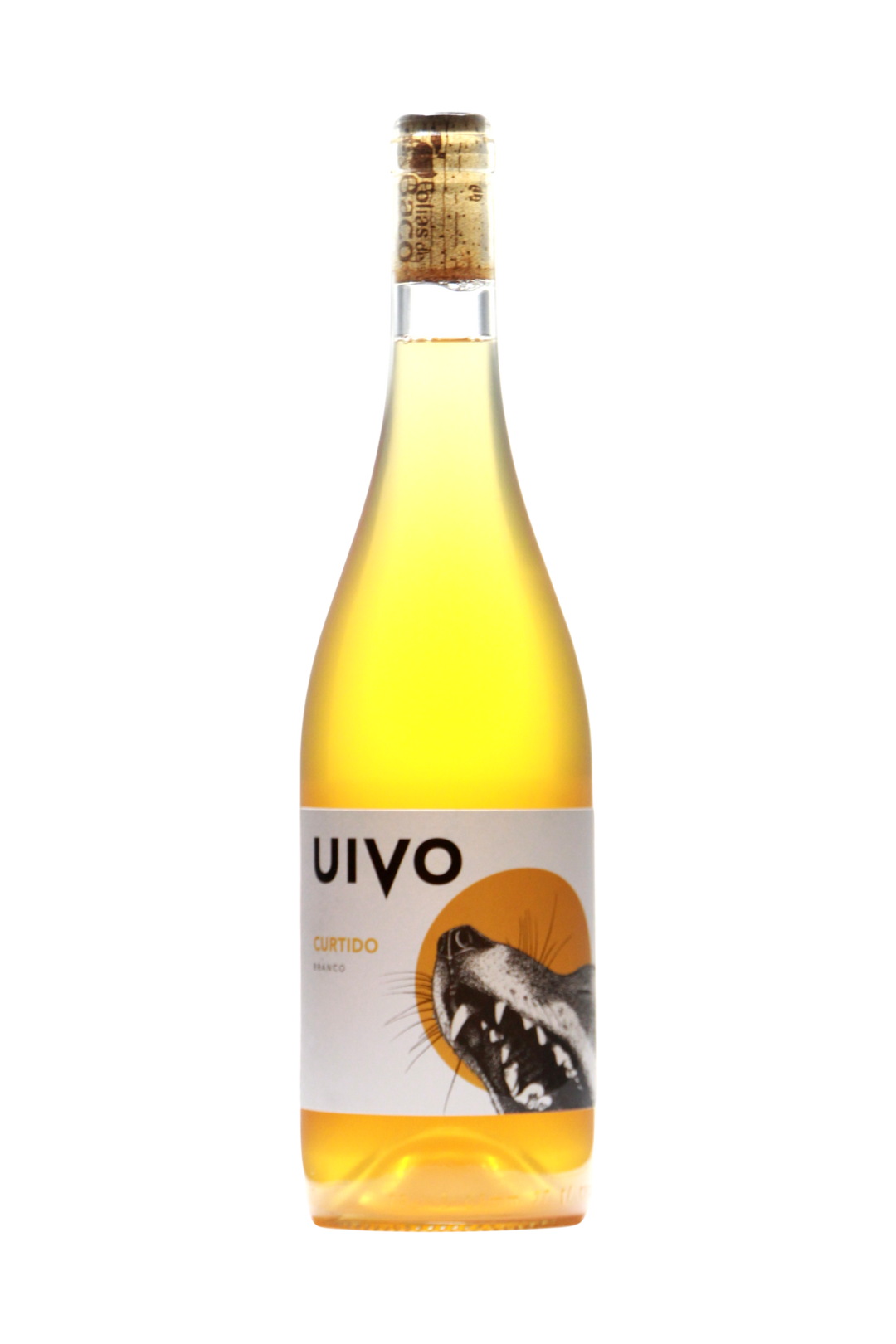 Newcomer Wines