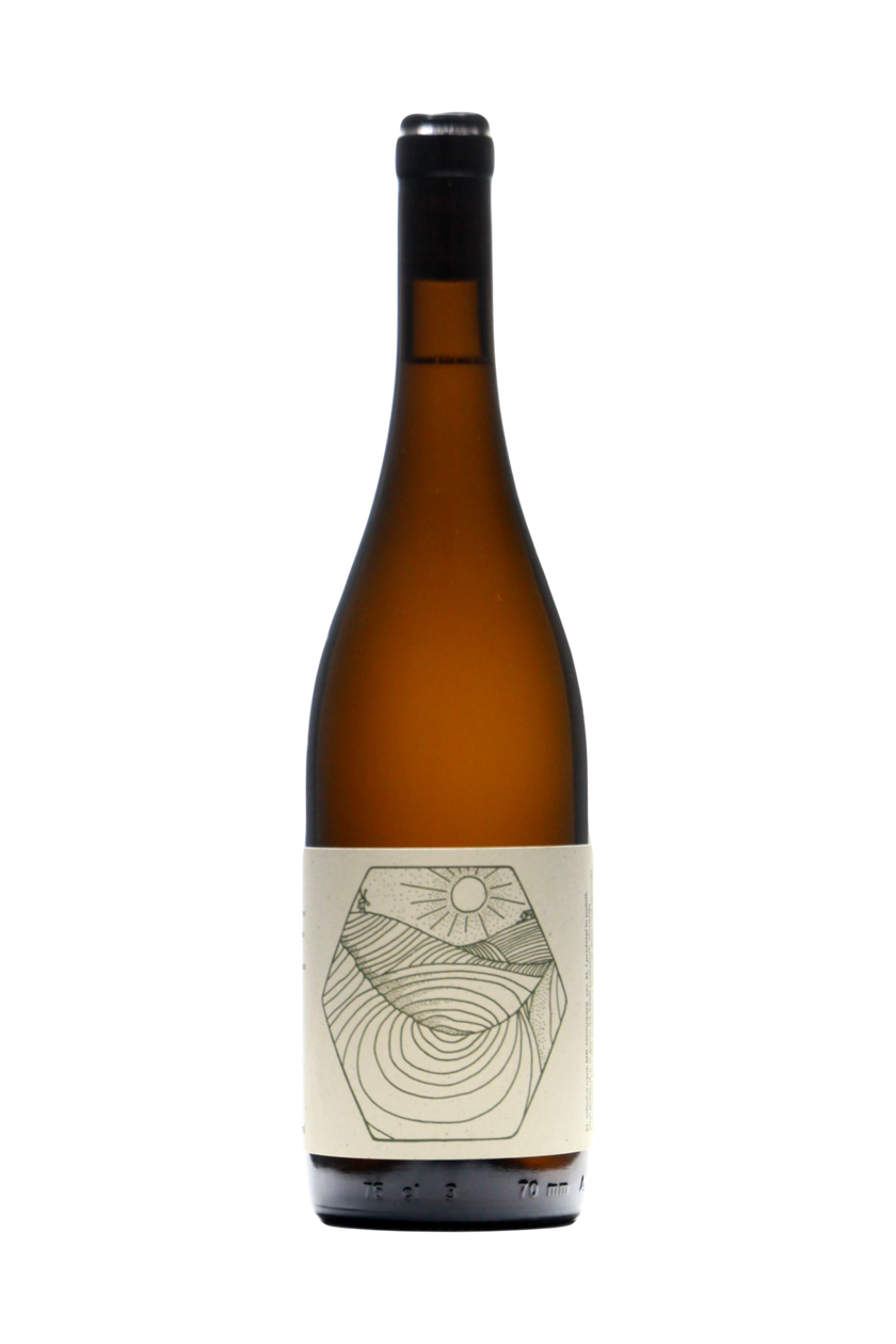 Newcomer Wines