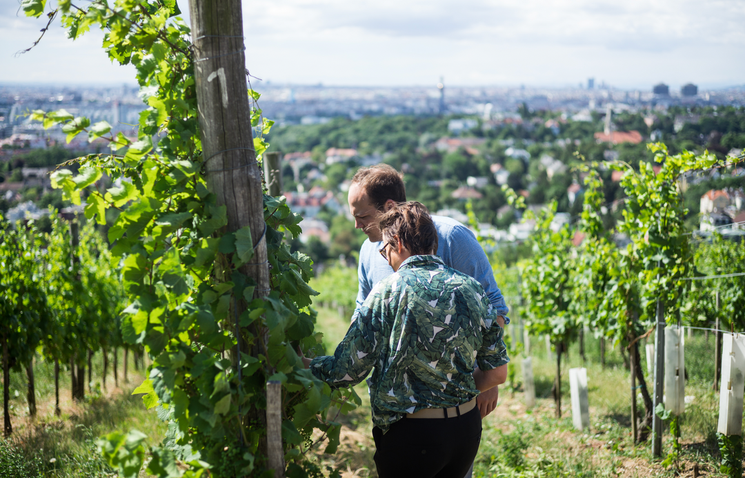 About Us – Newcomer Wines