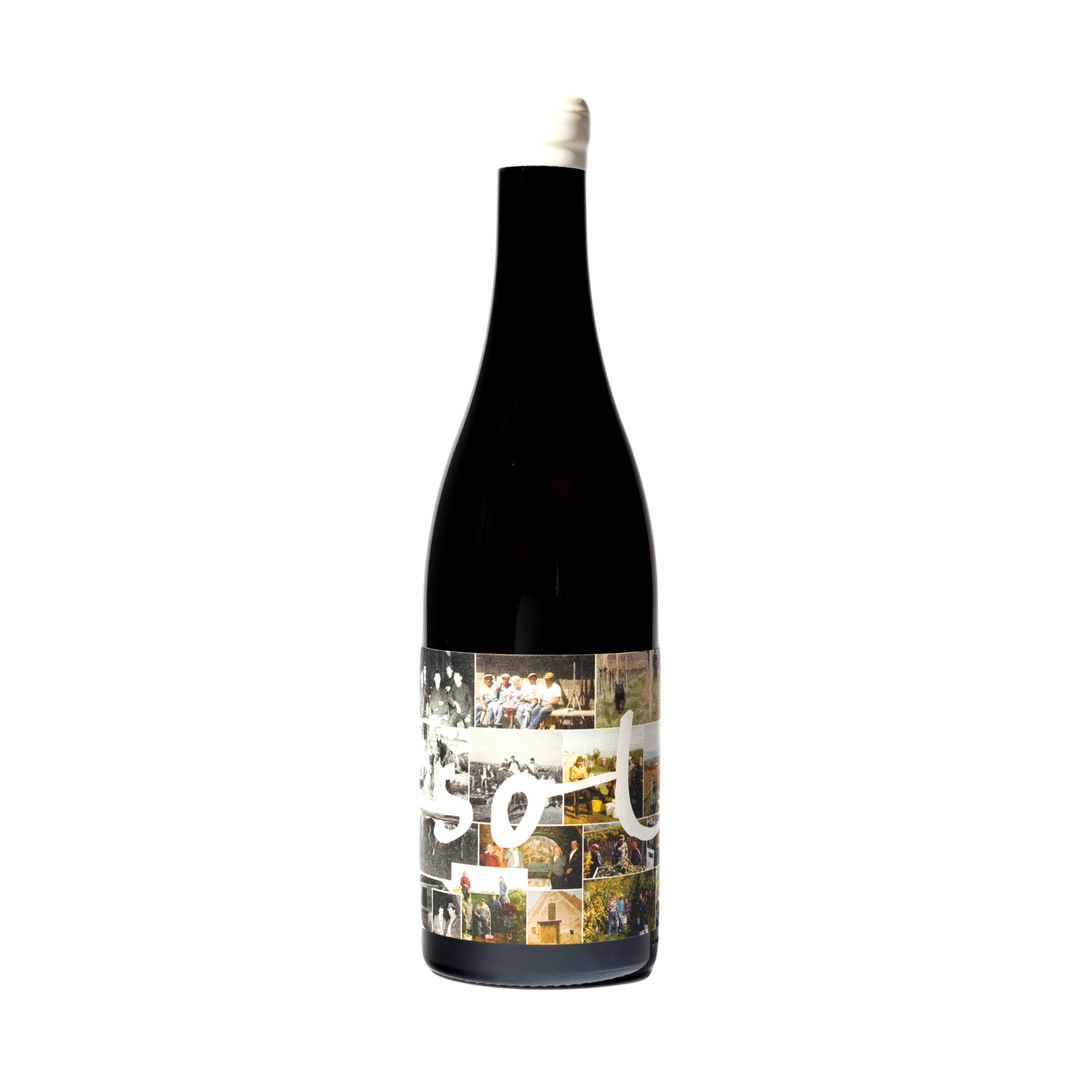 SOL 2017 – Newcomer Wines
